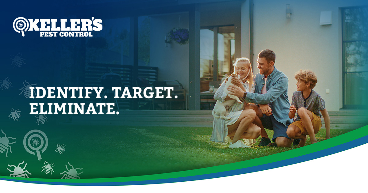 Naples Pest Control | Keller's Pest Control